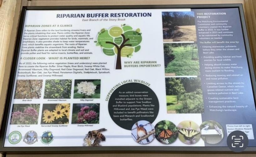 New sign at Best Lake to educate Watchung residents on riparian buffer ...