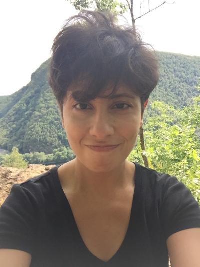 Get 'Brainfuse' services at the Roxbury Township Public Library ...