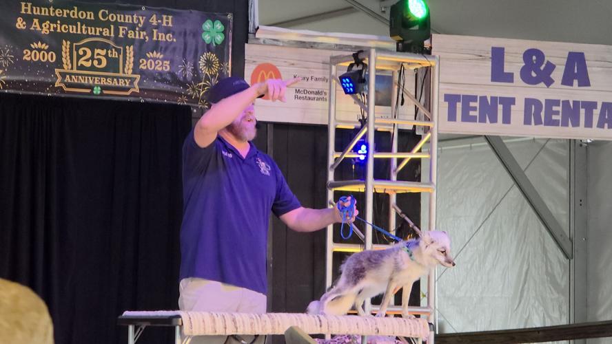 Hunterdon County hosts its 25th annual 4-H & Agricultural Fair | News ...