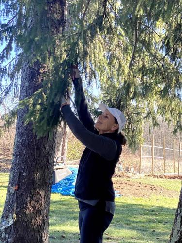 'North Pole' holiday drive-through returns to Basking Ridge | News ...