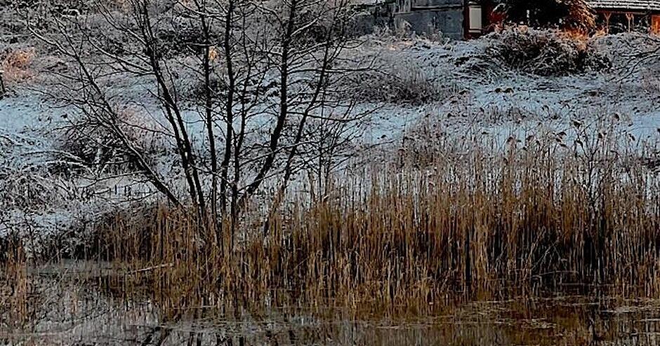 Sparta Camera Club Artists’ Reception and Exhibit Open at Scherman ...