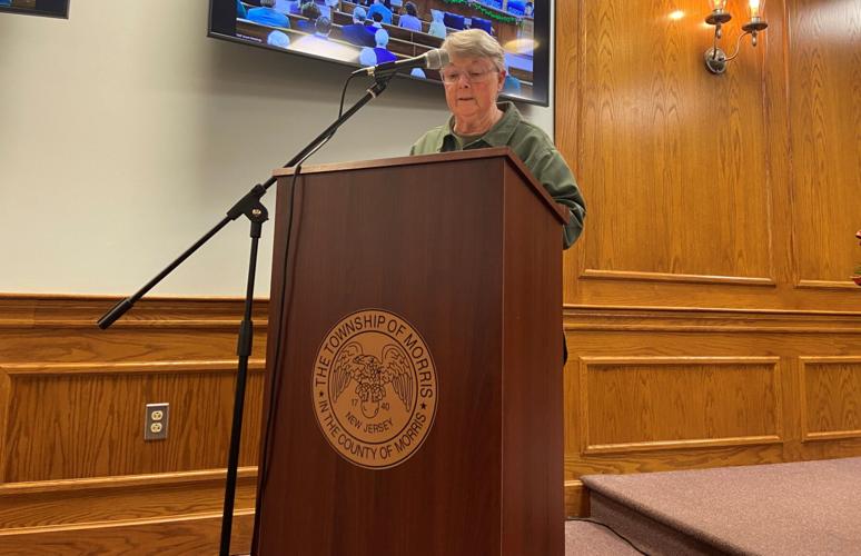 Former mayor Grayzel sworn in, returns to Morris Township Committee ...