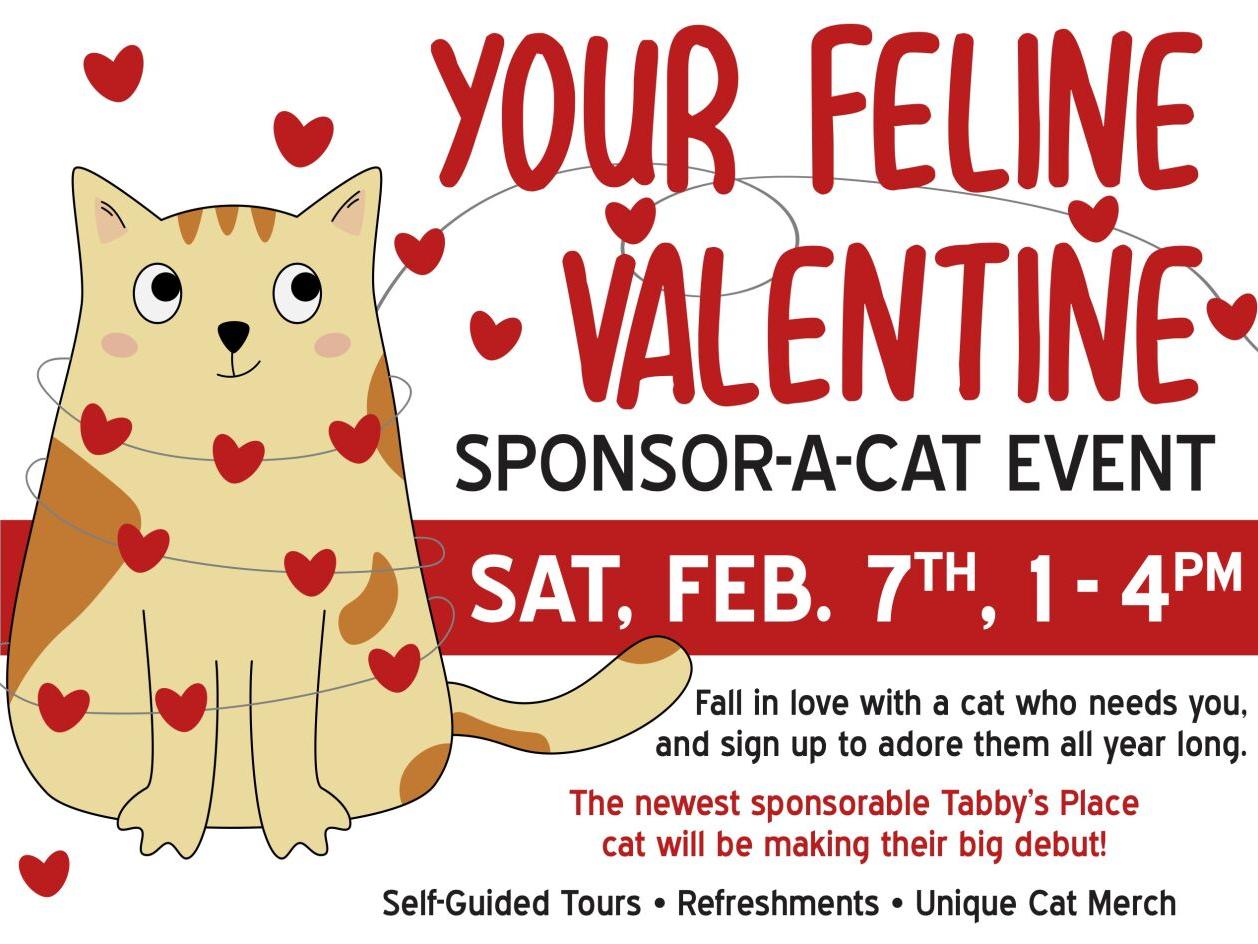 Tabby’s Place to host 'Your Feline Valentine' on Saturday, Feb. 7 ...