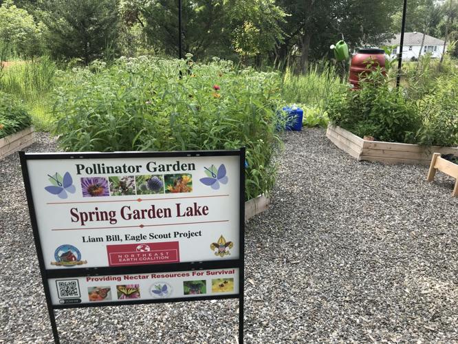 Florham Park's Spring Garden Lake, Fish tract get the Eagle Scout ...