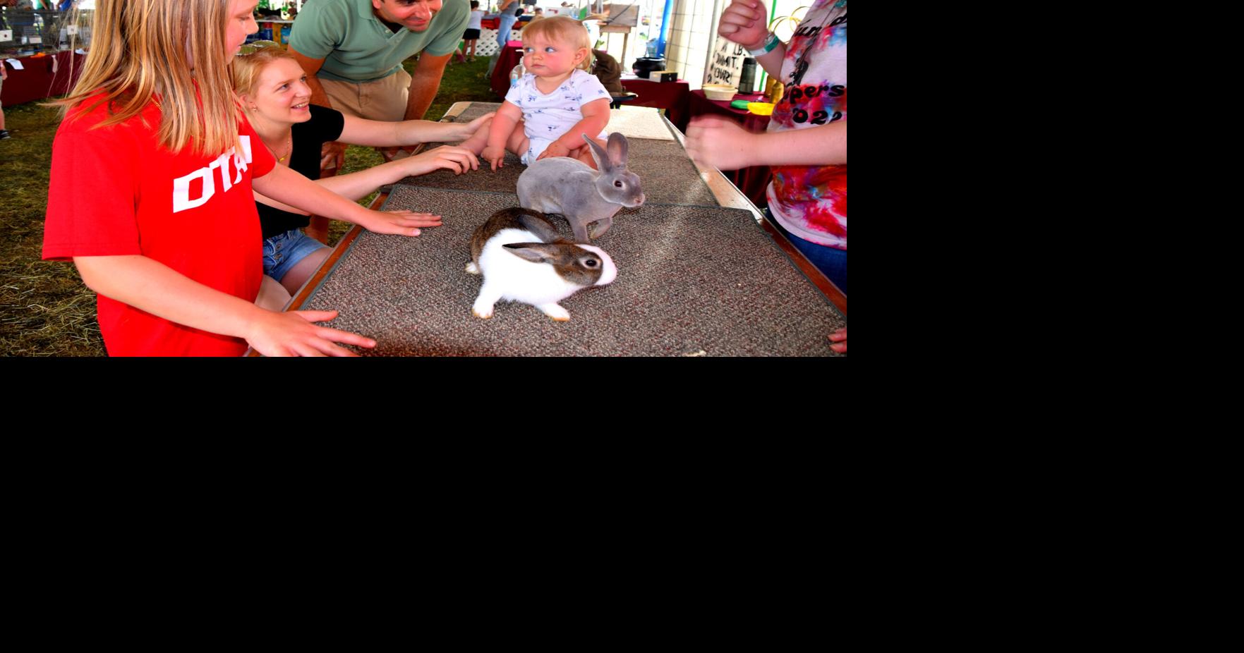 The Hunterdon County 4-H & Ag Fair returns Aug. 23-27 | News ...