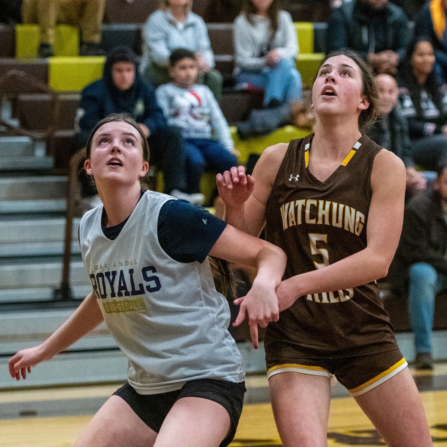 Watchung Hills girls hoops picks up two wins over Belvidere, Montgomery ...