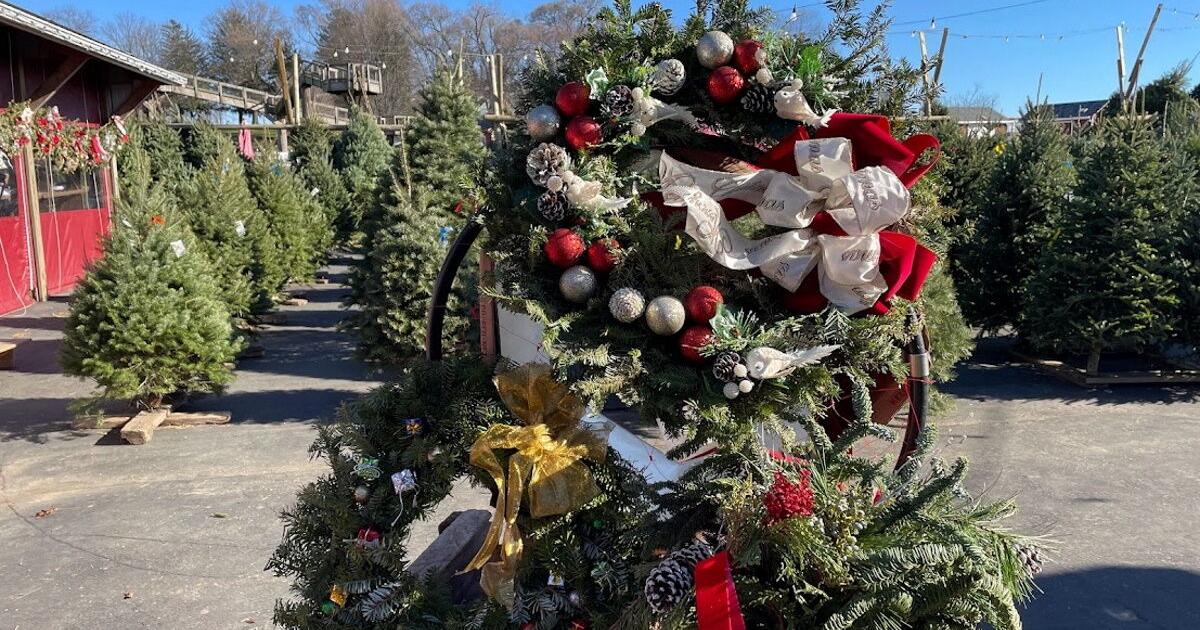 Chester's Alstede Farms still offering holiday breakfasts, trees, gifts ...
