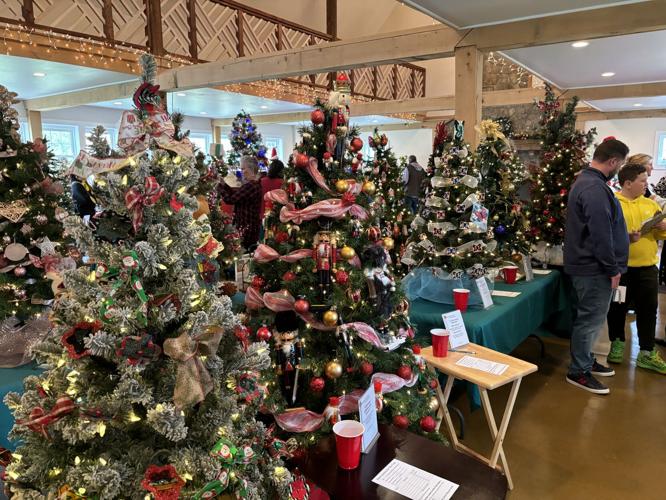 Chester's Festival of Trees never fails to thrill and inspire | News ...