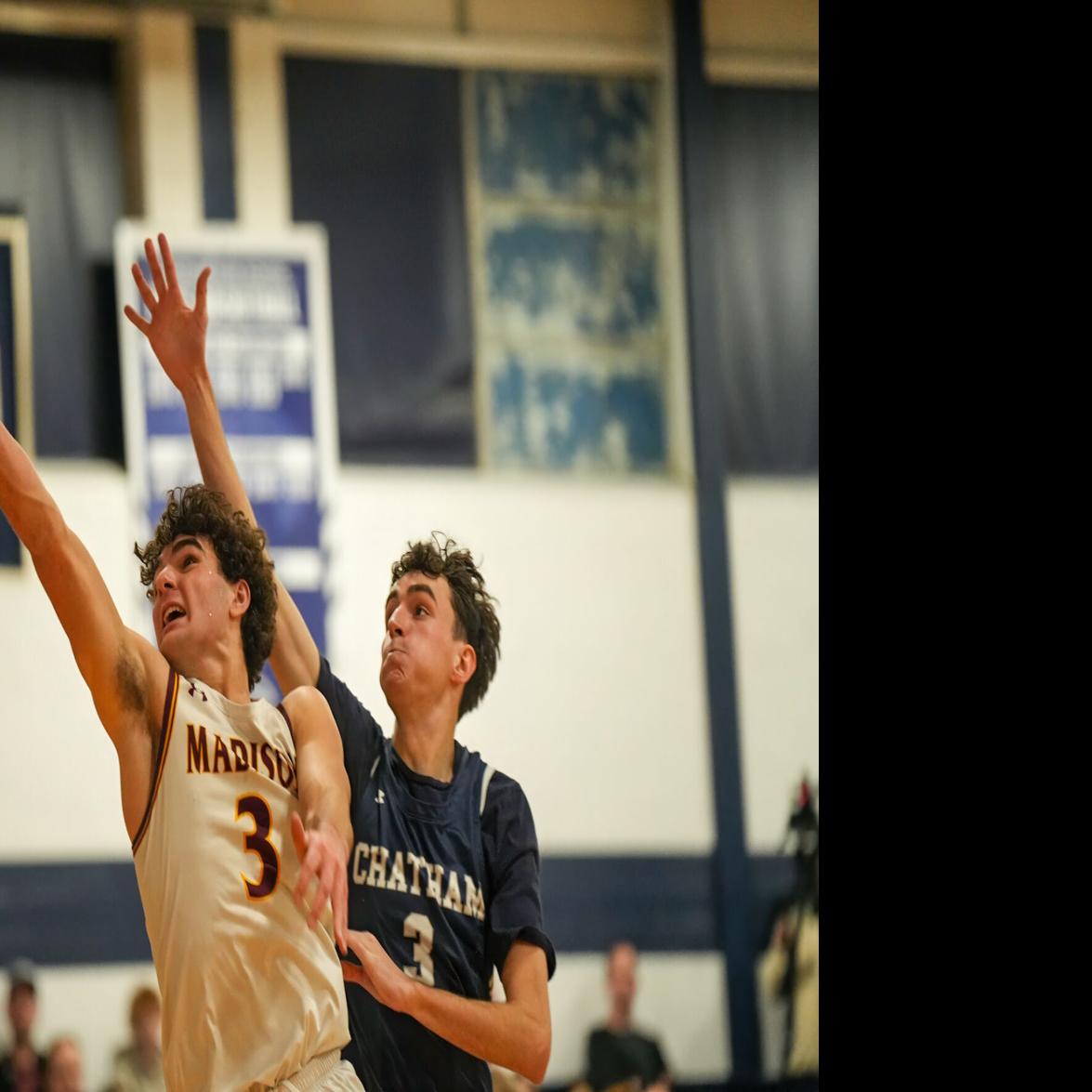 Madison Eagle | newjerseyhills.com