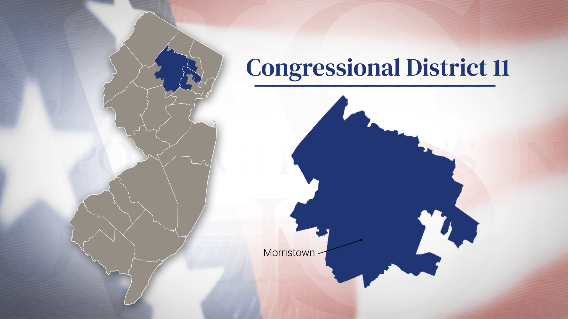 11th Congressional District Special Primary Election Profile | New ...
