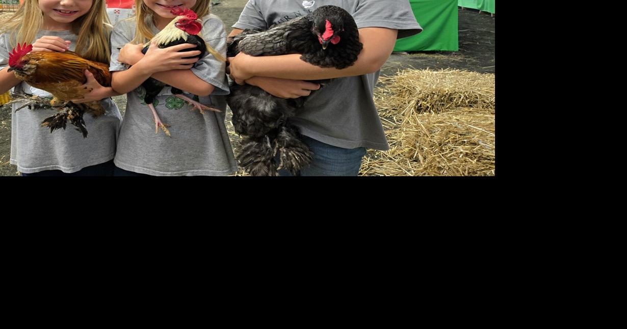 Hunterdon County hosts its 25th annual 4-H & Agricultural Fair | News ...