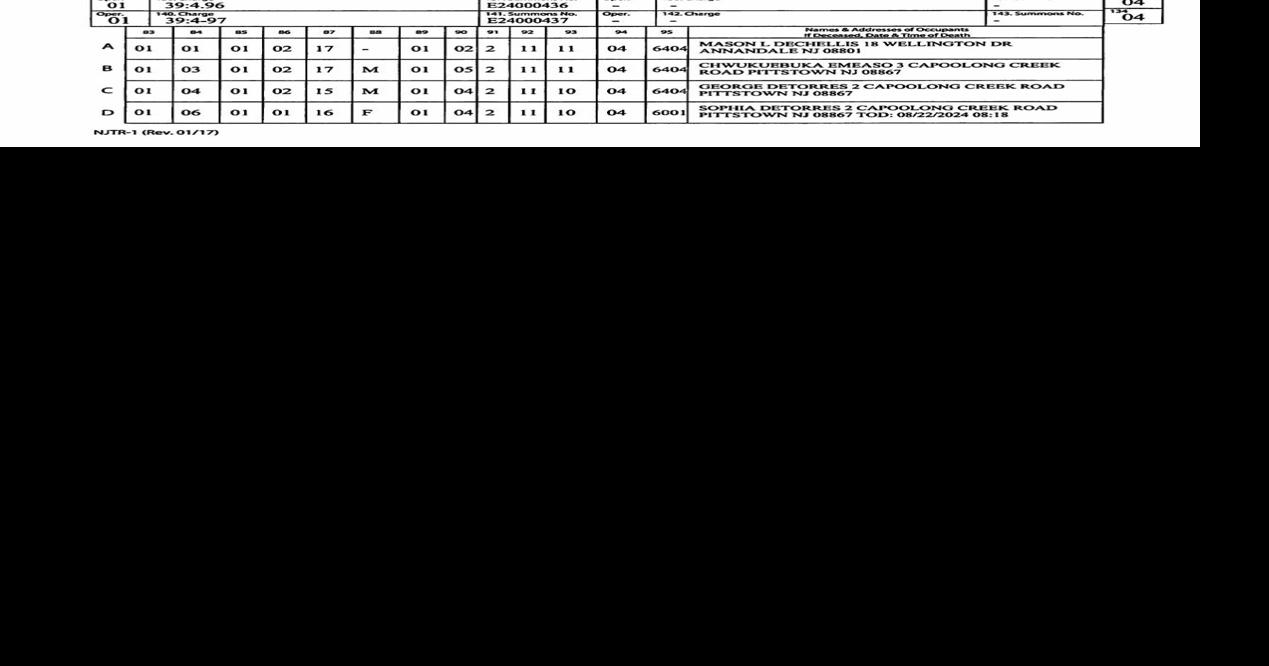 Juvenile charged in fatal crash that killed Sophia Detorres ...