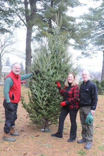Madison Rotary Christmas tree sale proceeds top $17K to benefit ...