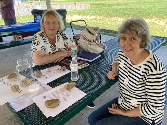 Mt. Olive non-profits strut their stuff at Turkey Brook Park event ...