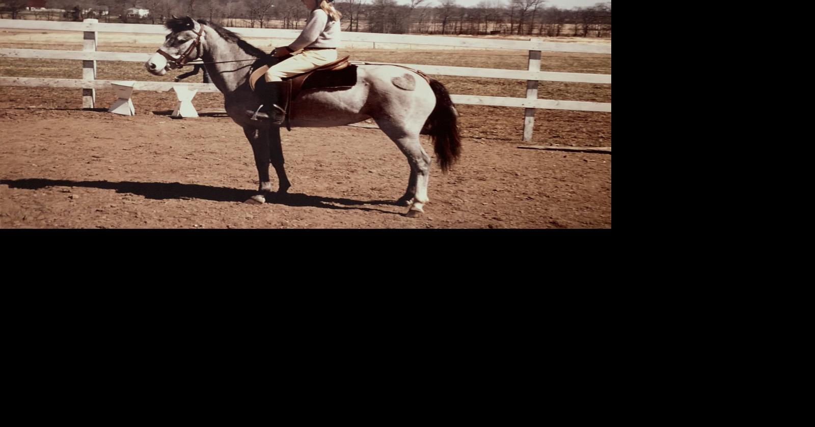Woman alleges sexual abuse by equestrian trainer | News ...