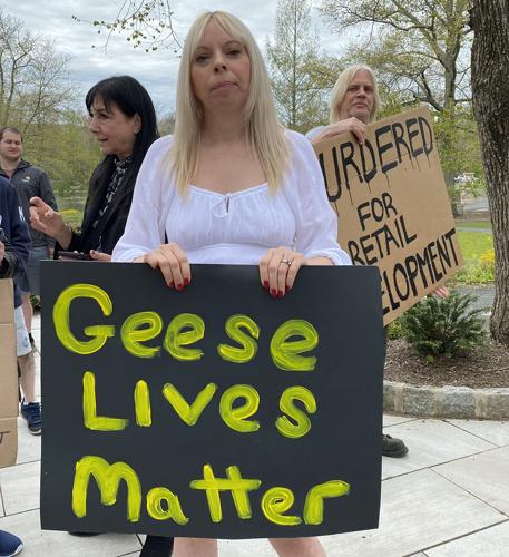 'Don't gas the geese:' Protest against euthanizing Canada geese in P-G ...