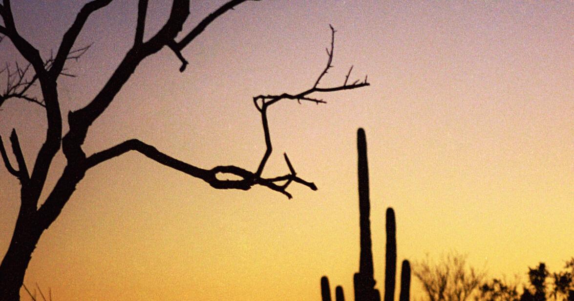 Southwest Retrospective - Virtual Exhibit Featuring Photos from Roberta ...