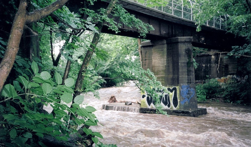 The Peckman River gets de-snagged | News | newjerseyhills.com