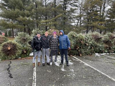 Dispose of Christmas tree, support Kemmerer Library in Harding | News ...