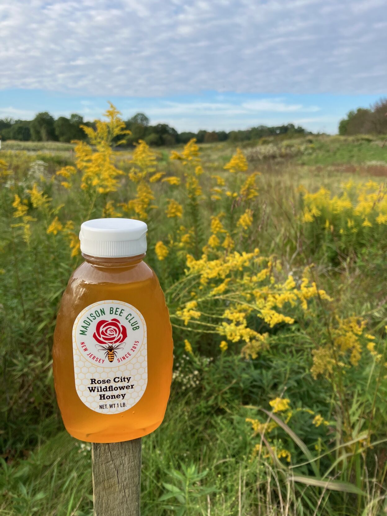 Madison Environmental Commission booth promises to 'buzz' on Bottle ...