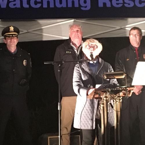 (VIDEO) Origins of Watchung's Tree of Lights occurred 33 years ago ...