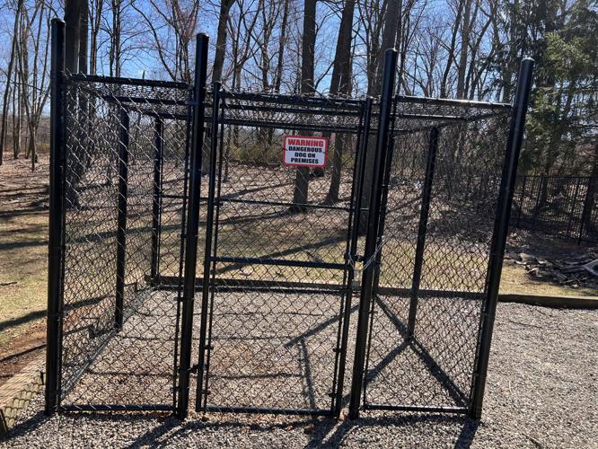 Dog that mauled in Warren returns to 'fortress' | News | newjerseyhills.com