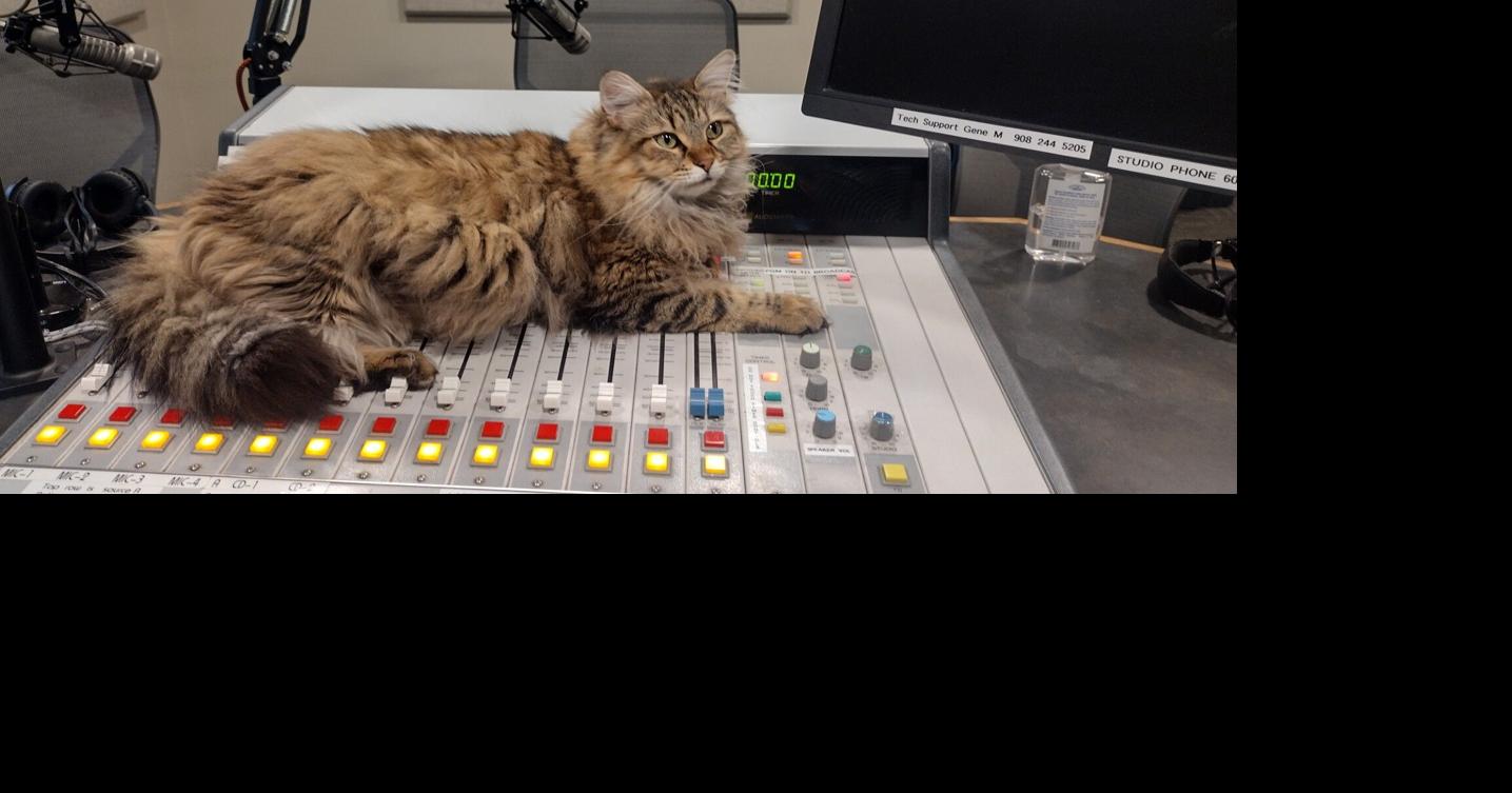 WDVR community radio celebrates 35 years on air; adds new signal ...