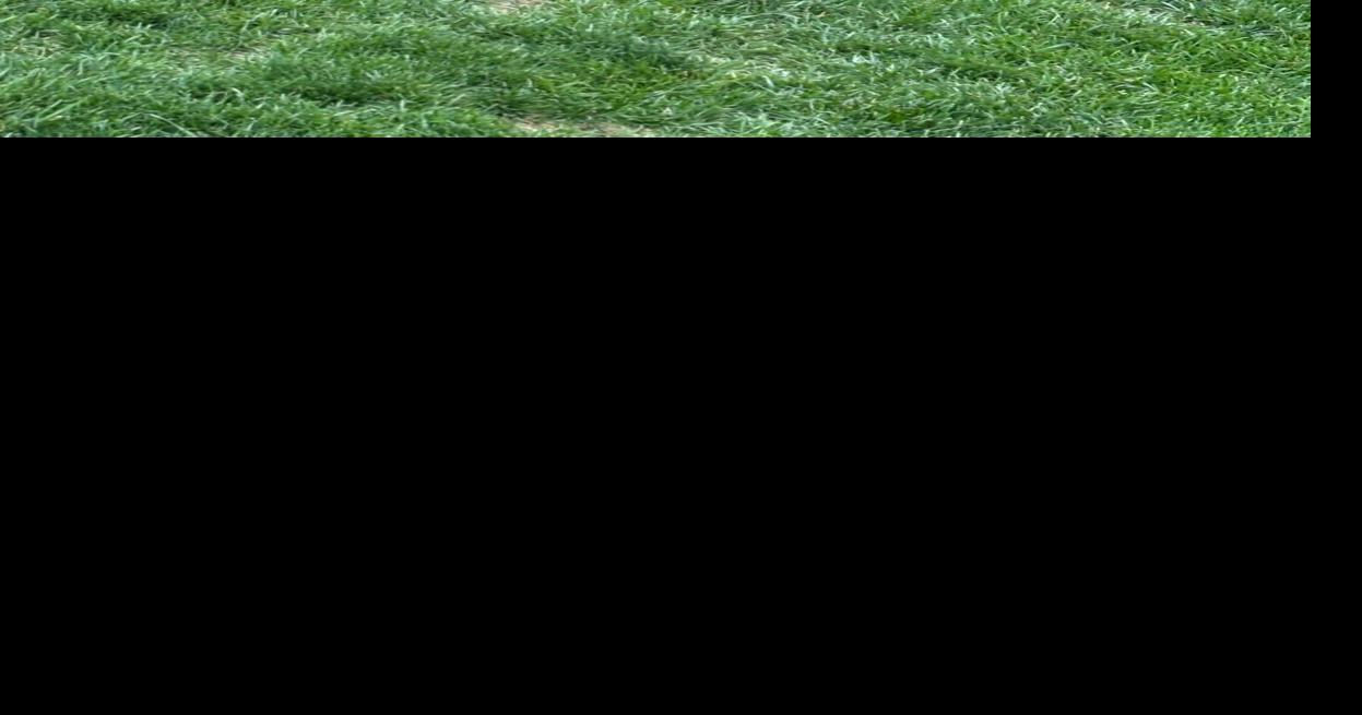 Bernards High's Ochab wins Somerset County Golf Tournament | Sports ...