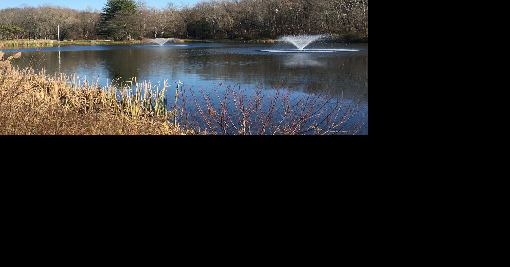 Green sunfish plague bass population at Watchung's Best Lake | Politics ...