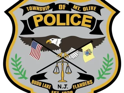 Woman hit by car while helping injured deer in Mount Olive | Observer ...