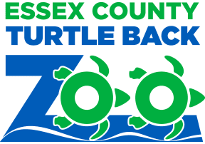 Upcoming programs at the Turtle Back Zoo | News | newjerseyhills.com
