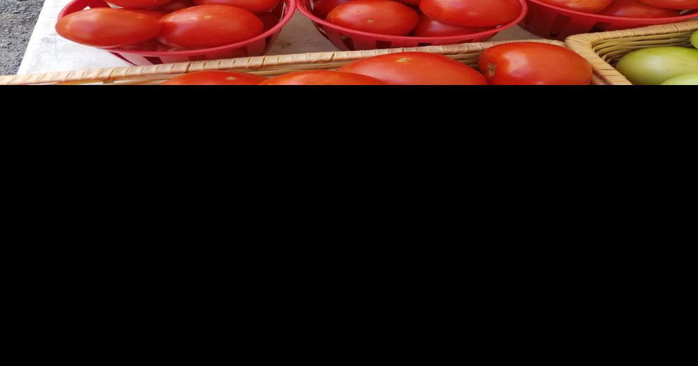 Watchung farmers market returns to Best Lake | Echoes Sentinel News ...