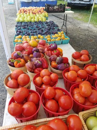 Watchung farmers market returns to Best Lake | News | newjerseyhills.com