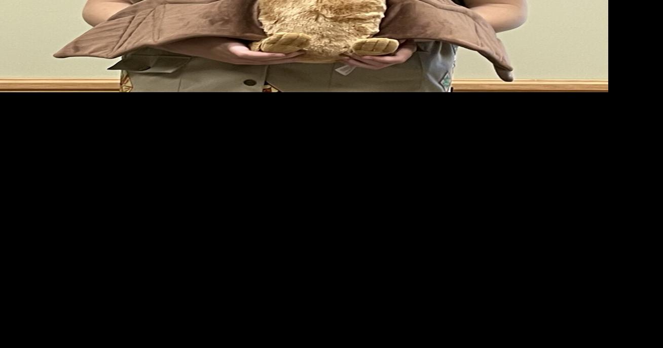 Long Valley 'bat' girl hopes project will earn her Silver honors | News ...