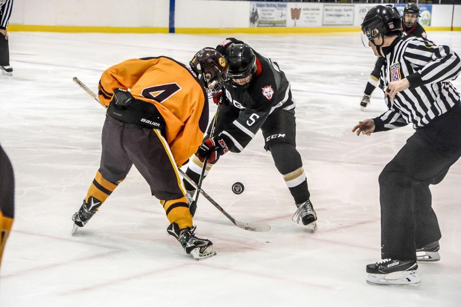 Red Devils split ice hockey meetings | Bernardsville News Sports ...