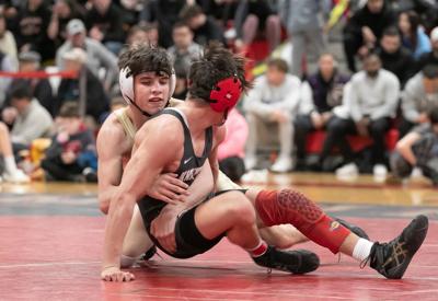 Roxbury's Stanich wins 126-pound state wrestling championship | Bold 54 ...