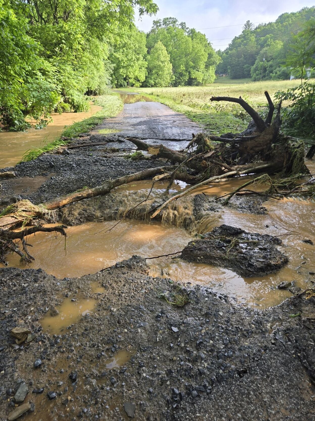 Flash flooding closes several roads in Bybee and Parrottsville | News ...