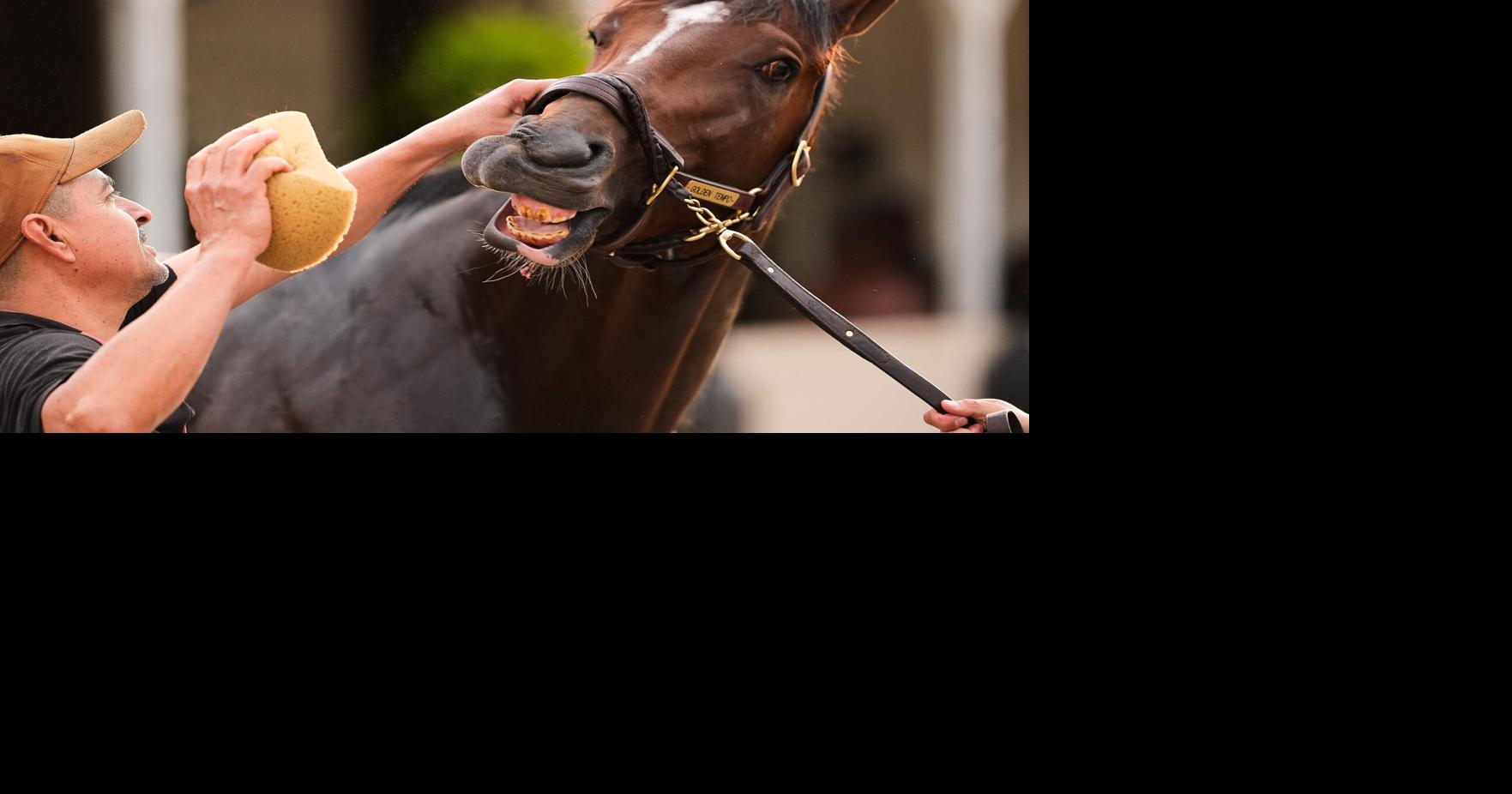 Preakness Stakes could soon move later to 3 weeks after Kentucky Derby ...
