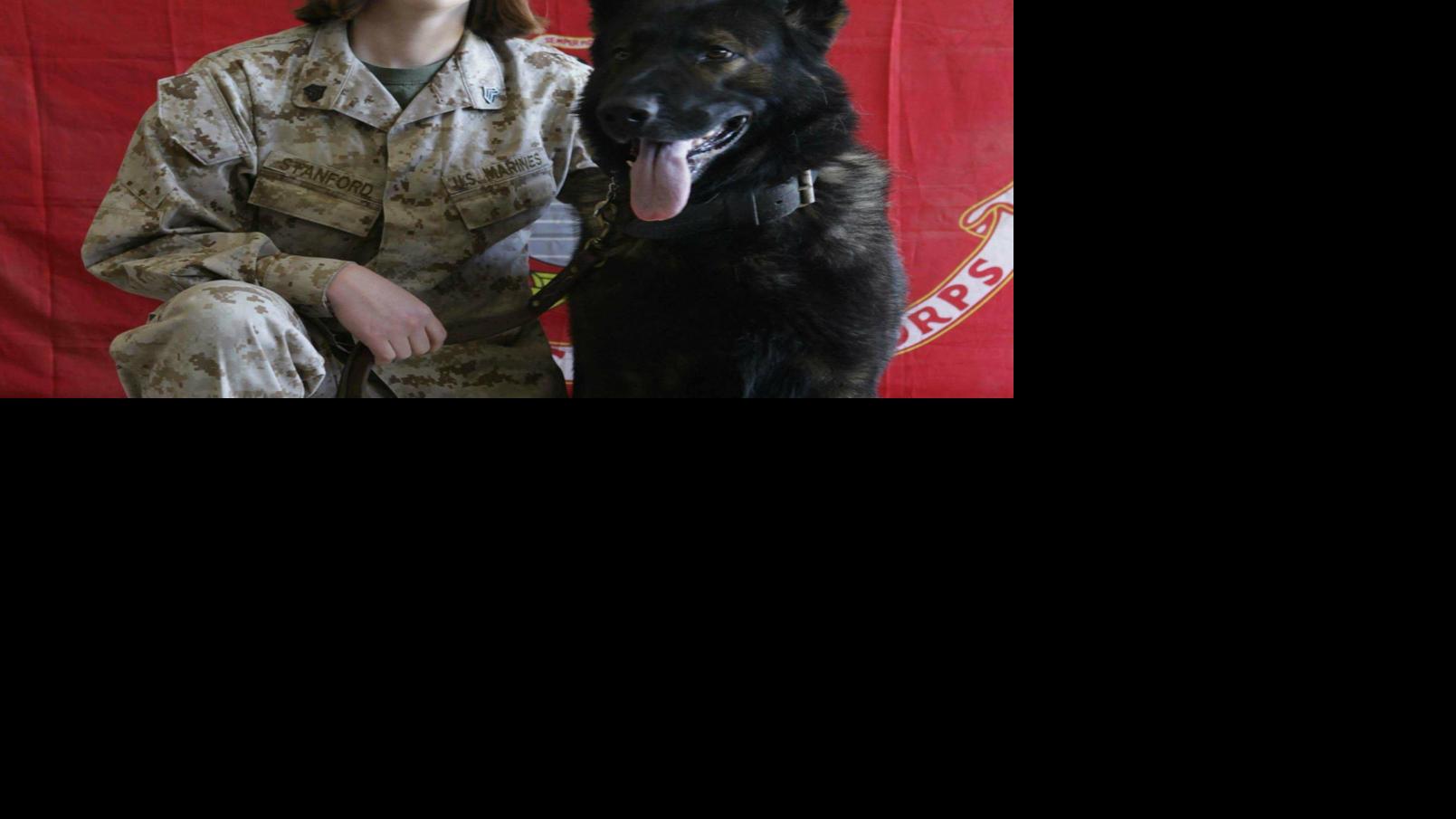 Women Veterans Among Us | Community | newportplaintalk.com