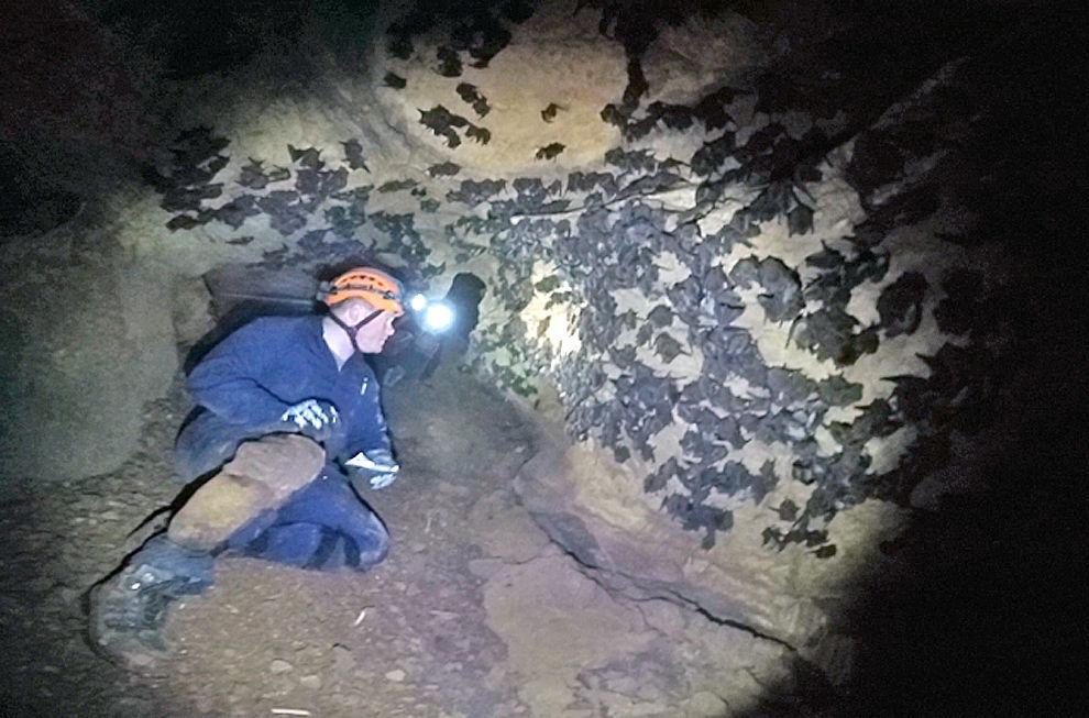 TWRA surveys a sizable gray bat hibernaculum in East Tennessee | News ...