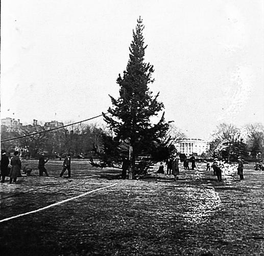 White House Christmas tree celebrates centennial | Community Columns ...