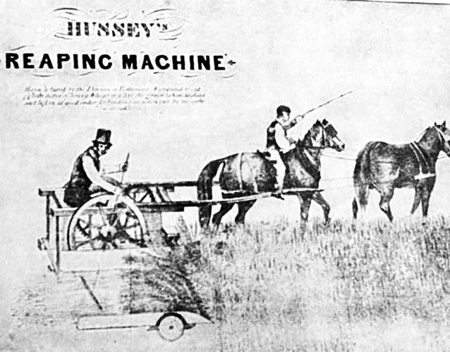 Cocke County and hemp cultivation | Community Columns ...