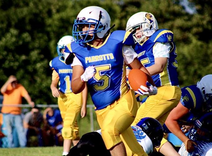 Parrottsville confident entering Ward's second season ...