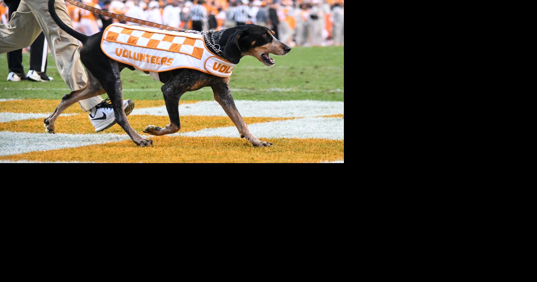 UT - Vanderbilt Football | Gallery | newportplaintalk.com