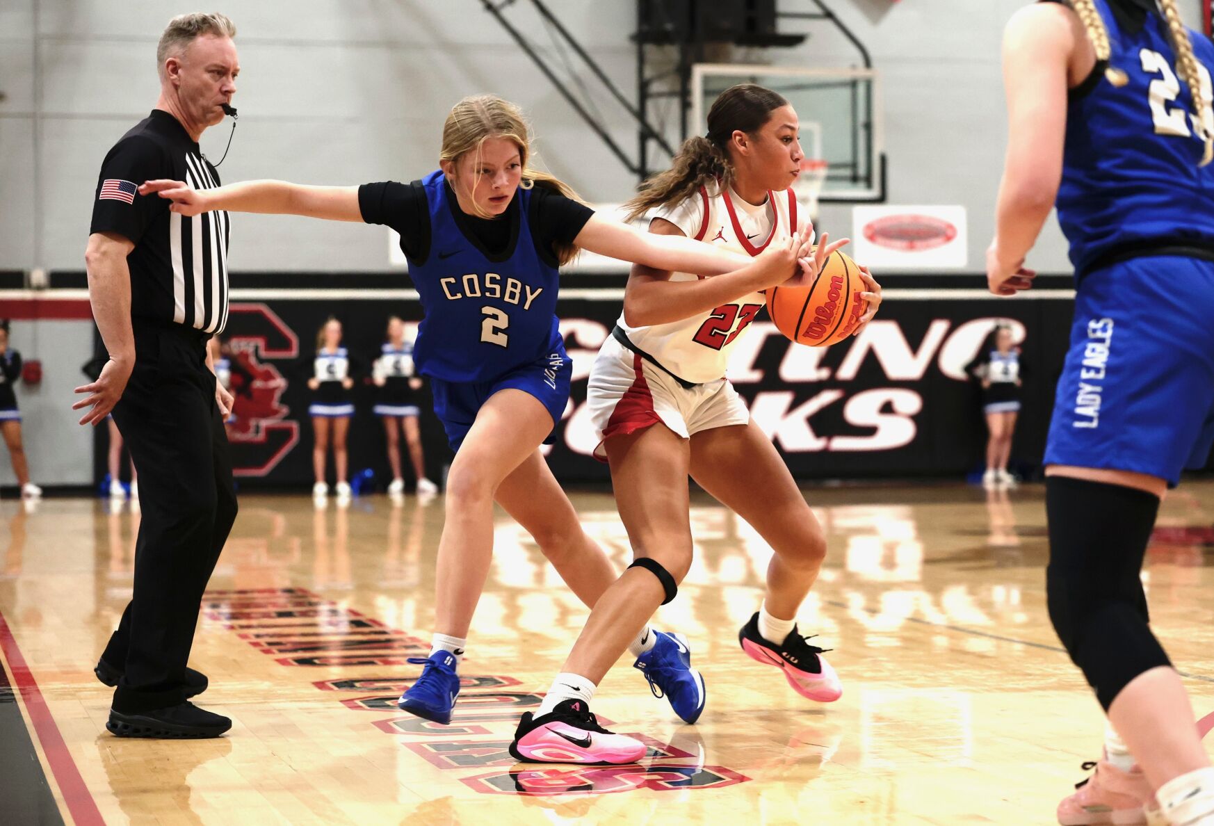 Cocke County, Cosby set for next installment of renewed rivalry Friday ...