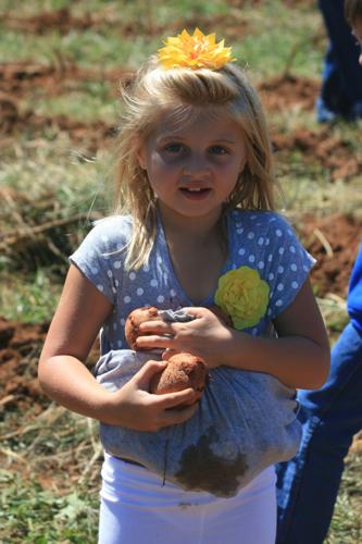 Tater diggin’ time at Parrottsville Elementary | News ...