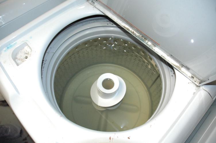 The Reality of Life Inside Cocke County's Jails | | newportplaintalk.com