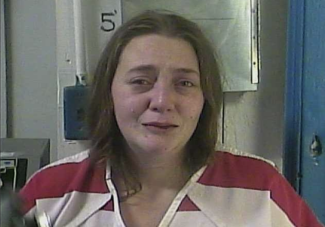 Woman allegedly hits NPD officer with car, faces multiple charges ...