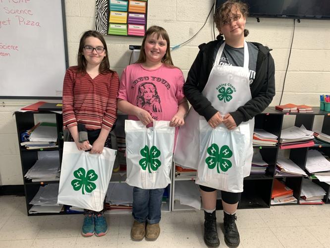 4-H baking contest winners announced | Community | newportplaintalk.com