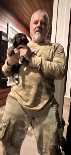 Rescue mission: Community rallies to help Dog Mom of the Year and her ...